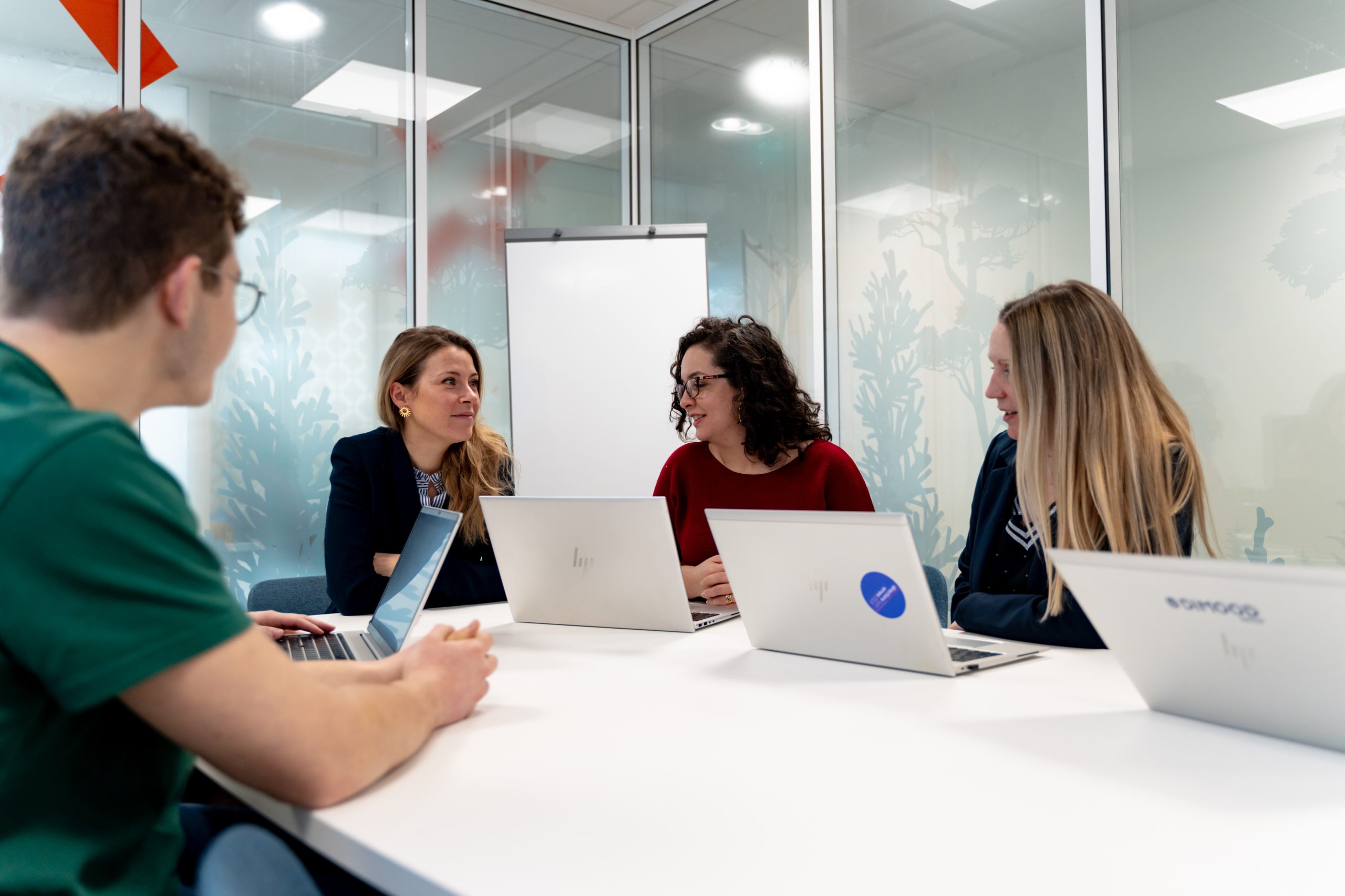 Meet the Team : Software development experts